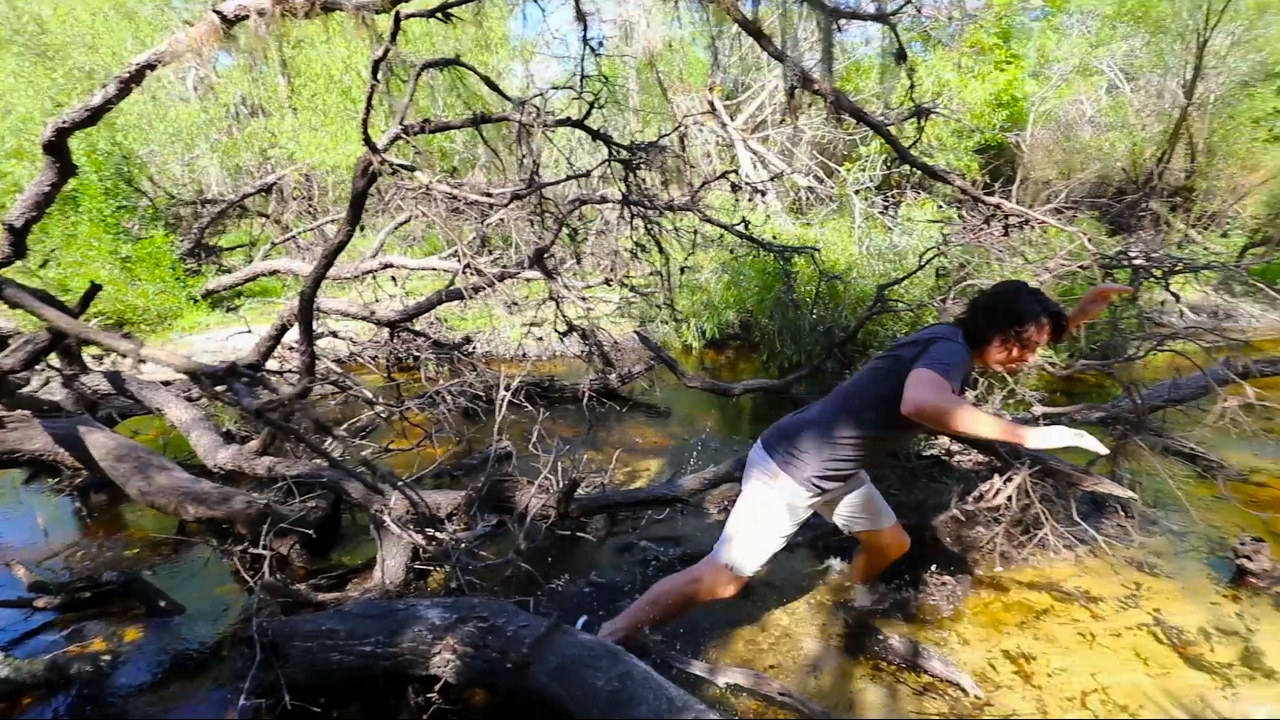 Falling into alligator infested water! - YouTube