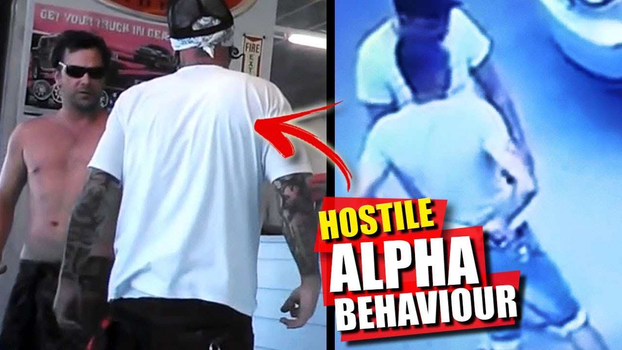 3 TOP TRIGGERS to ATTACK... Alpha DOMINANCE YOU Should Watch Out For ...