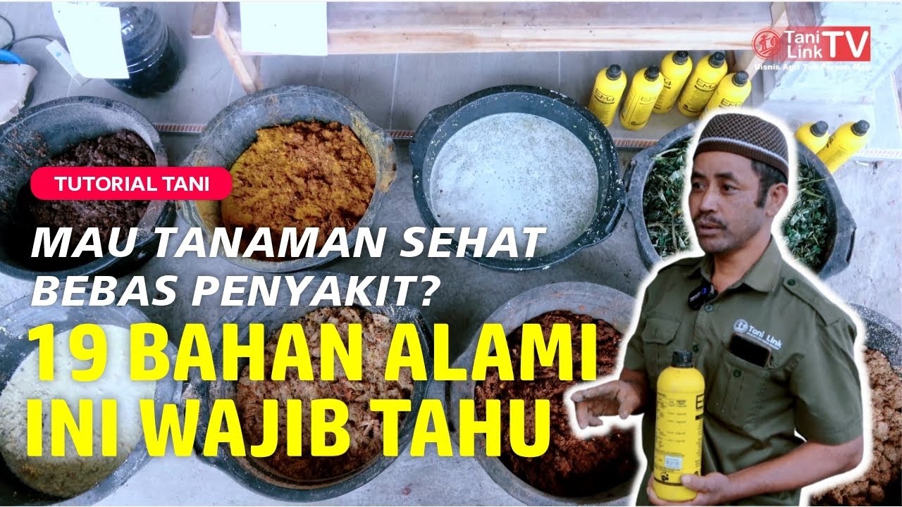 Membuat Pupuk Organik Cair (POC) Dari 19 Bahan Alami, Solusi Pupuk ...