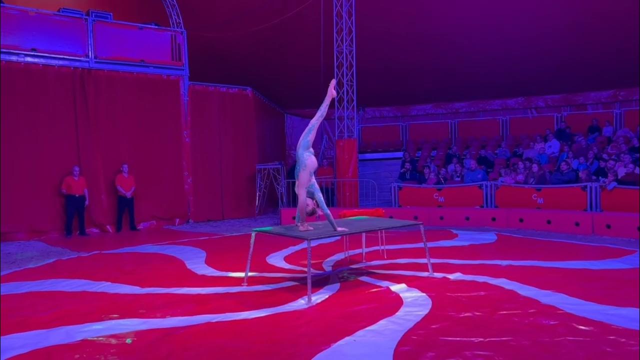 Erika Navrátilová Contortion Youtube