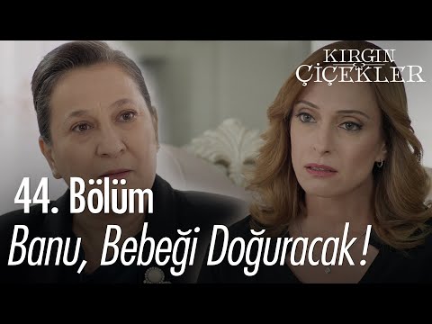 Neriman, Banu'ya ihanet etti! - Kırgın Çiçekler 44. Bölüm