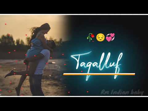 Ek Din Mahabat || New Hindi Viral Song WhatsApp status Videos 2022 Lyrics