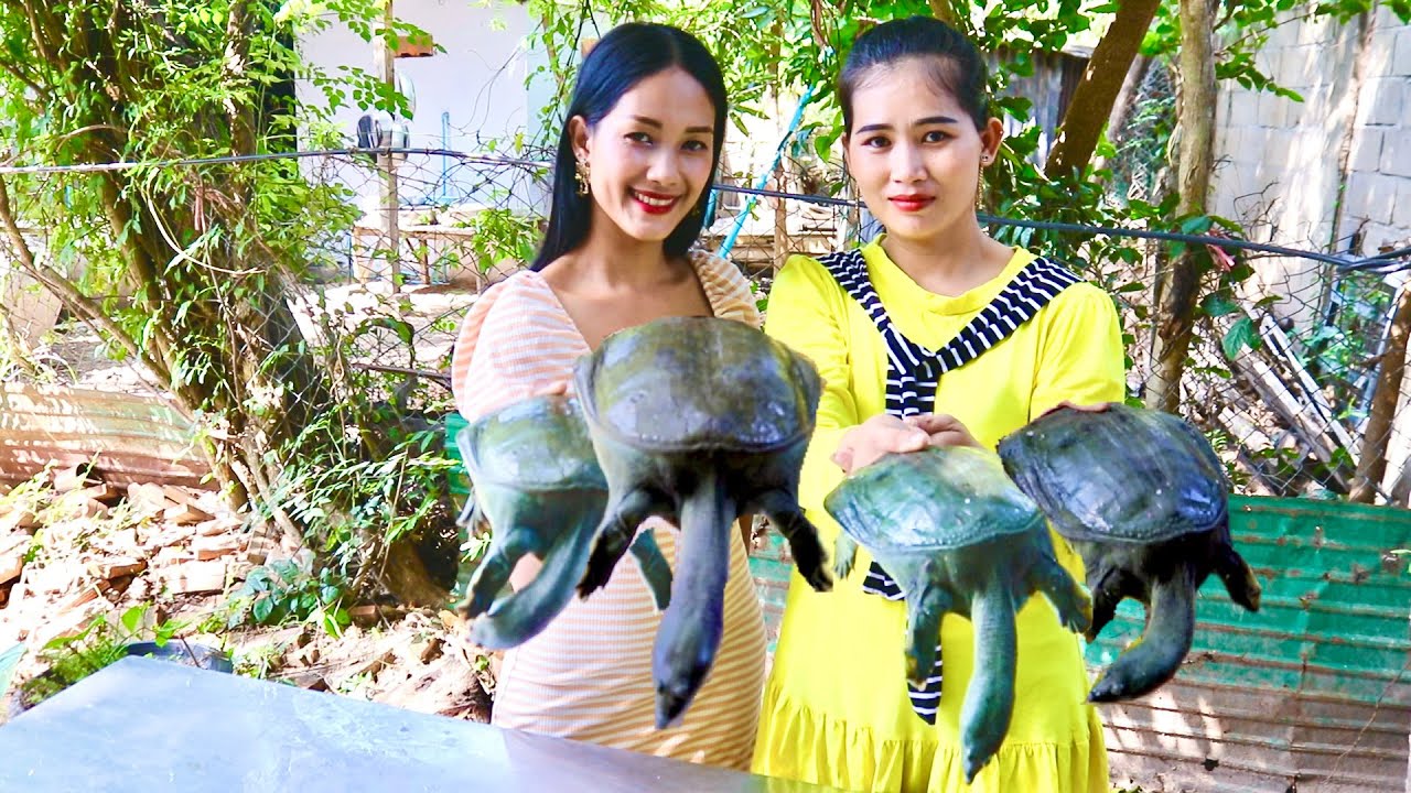 How To Prepare The Best Steam Turtle Recipe - Thyda Cooking TV - YouTube