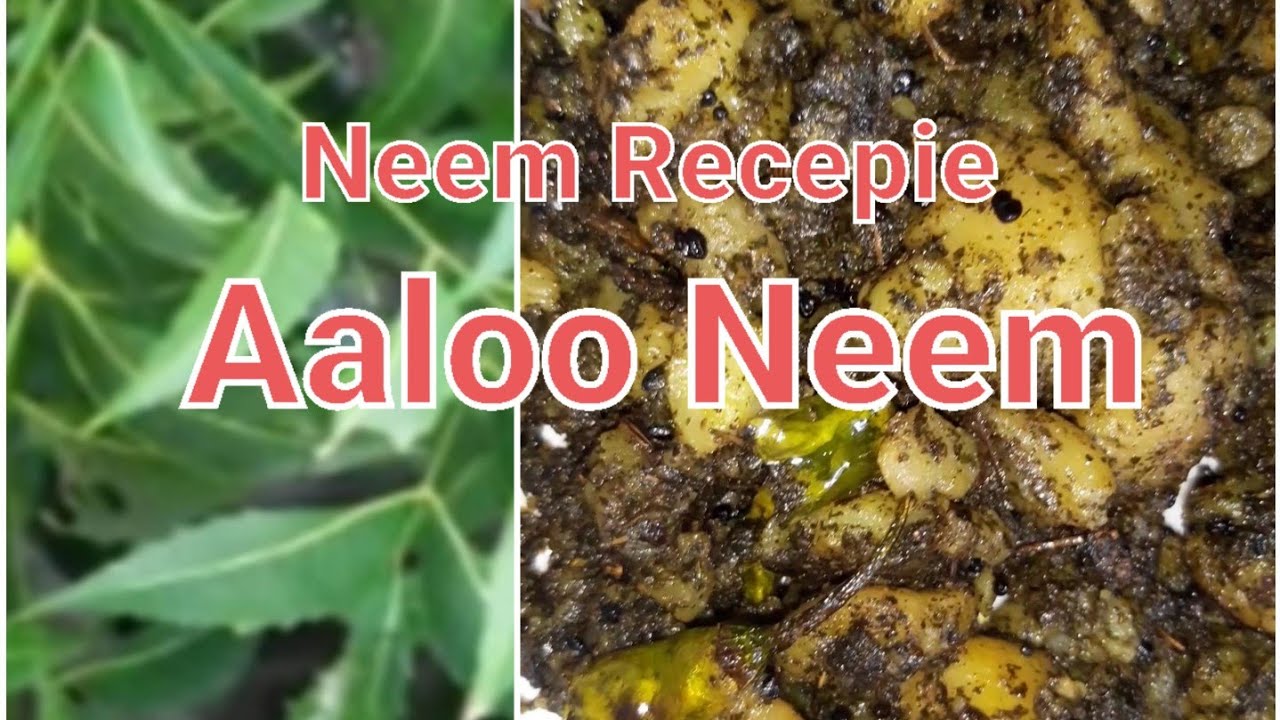 Neem k patte ki recepie || Aaloo Neem ||Jharkhand special || Village ...