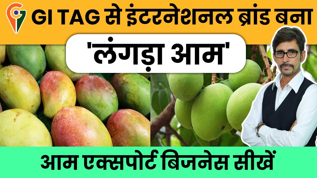 आम विदेशों में बेचकर कमाएं पैसा | Banaras Langra Mango | GI Tags 2023 ...