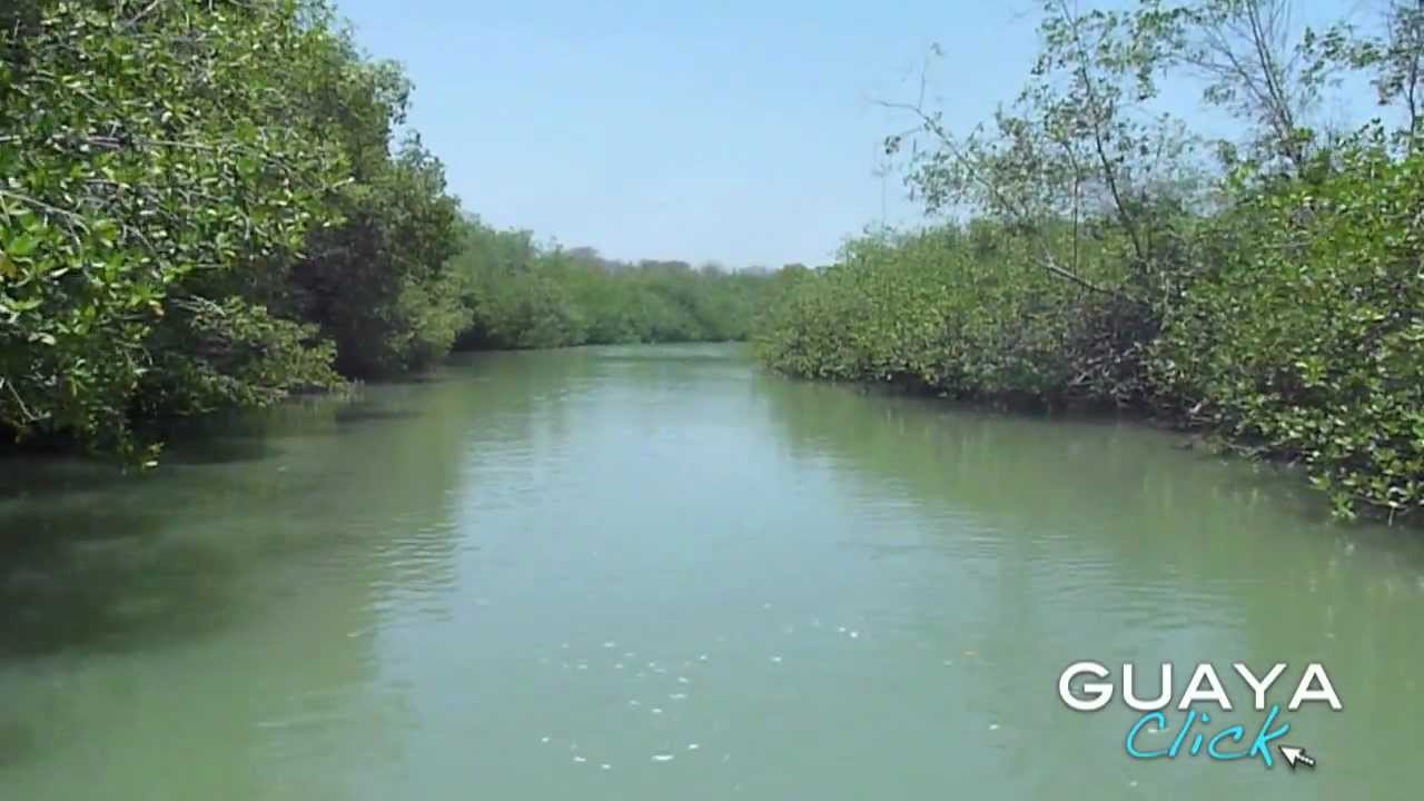 Expedición a la Isla Puná - YouTube