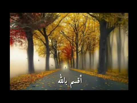 حالات واتس اب دينيه✨الثقه بالله سبحانه