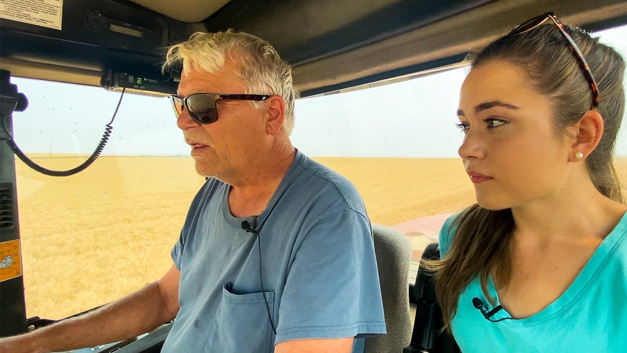 1st Day of Wheat Swathing 2021!!! Montana Farm Harvest - YouTube