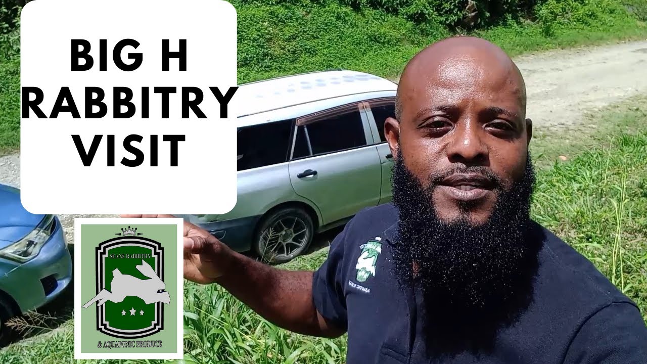 Trinidad Rabbit Farming - Big H Rabbitry Visit - YouTube