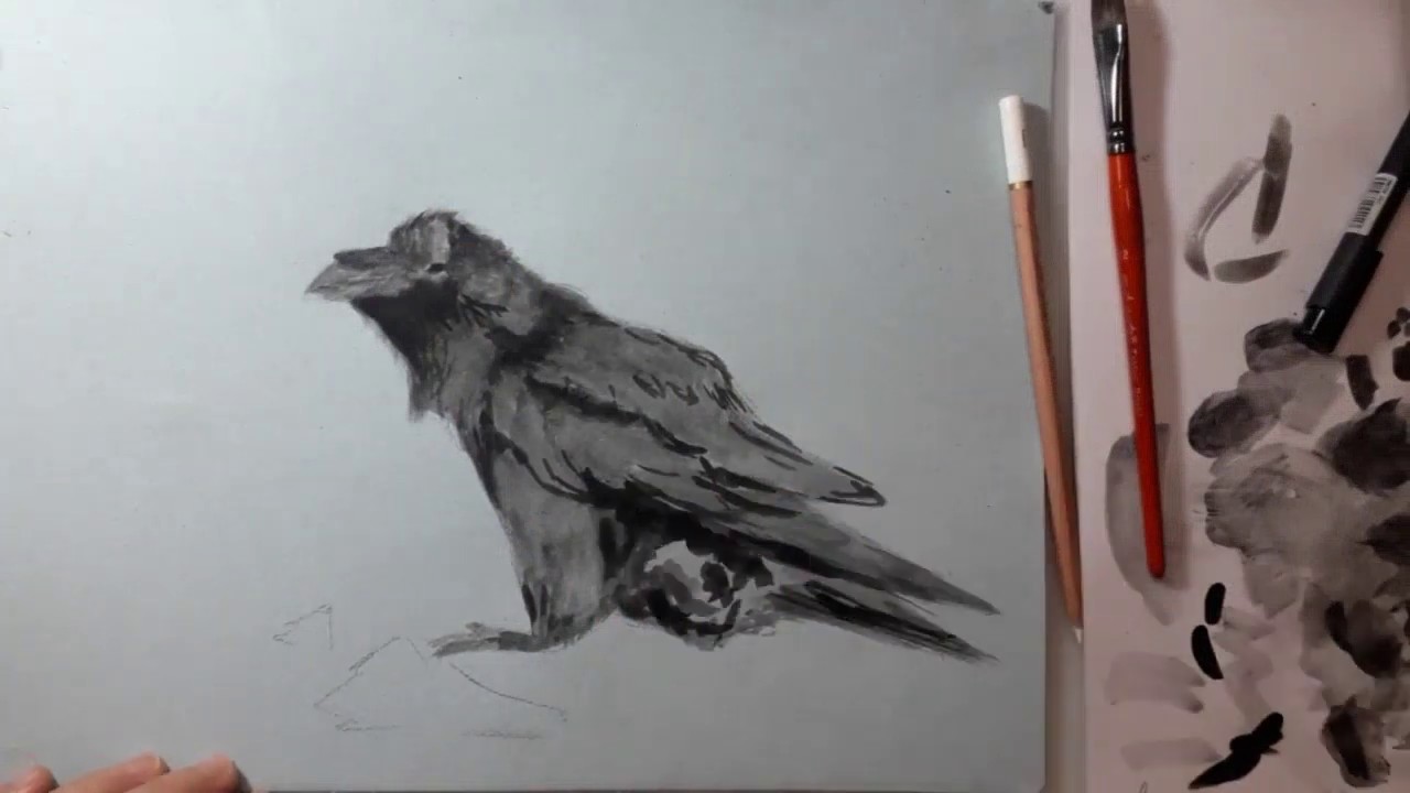 Realistic crow drawing - YouTube