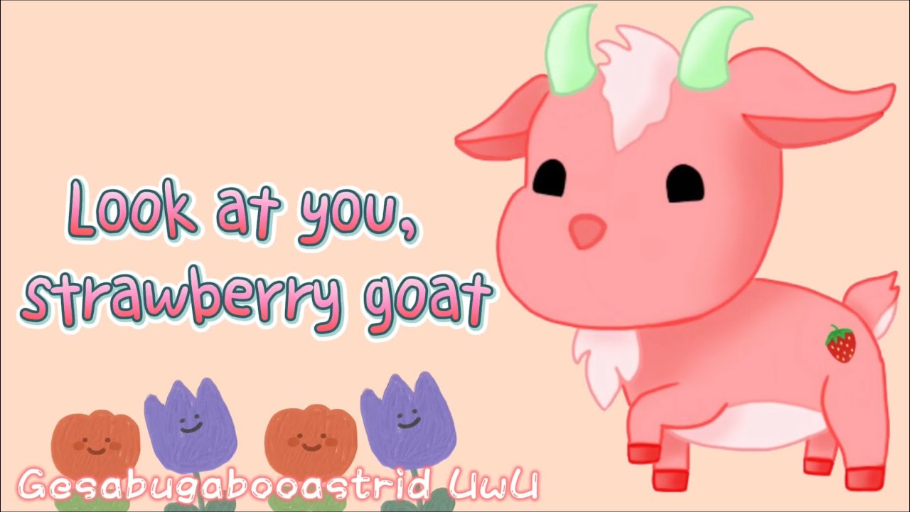Strawberry Goat Lyrics | TikTok Cover - YouTube