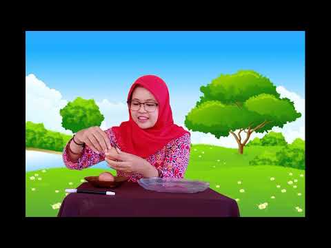 Simulasi Sains untuk Anak Usia 3 - 4 Tahun