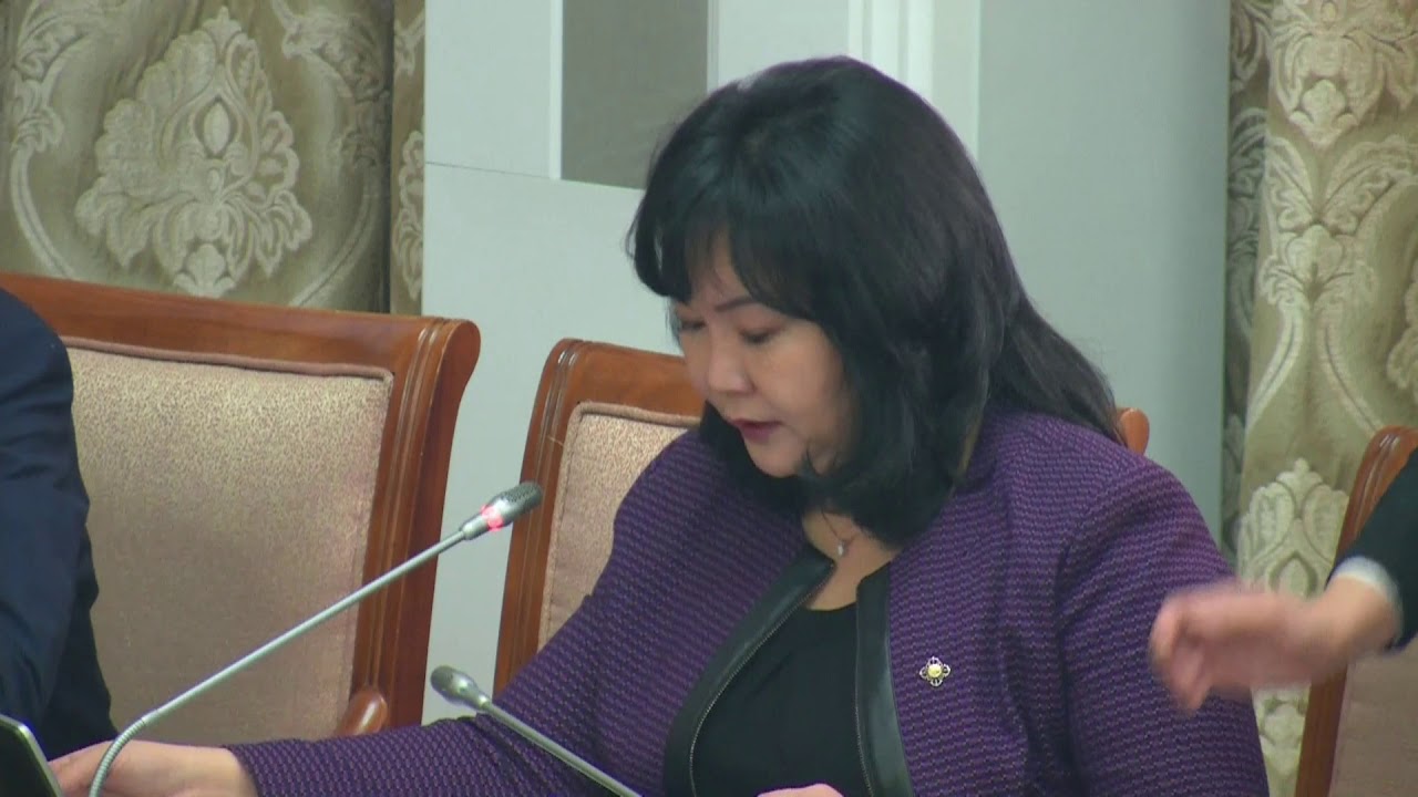 УИХ ын гишүүн Н Оюундарь хуулийн төслүүдийг танилцууллаа Youtube