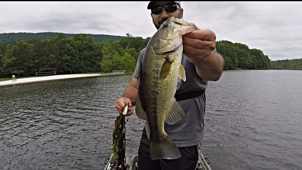 The BLOWUPS Wouldn't STOP!!! (A MUST SEE Morning of Topwater Bass ...