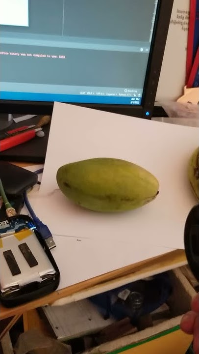 Fruit recognition and classification using Python - YouTube