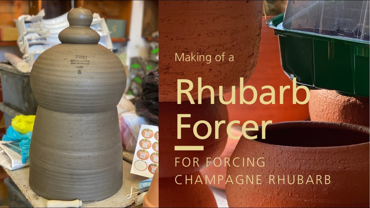 Making of a Rhubarb Forcer -🇫🇮 Raparperihuuppa - 🇸🇪 Rabarberkruka + Art ...