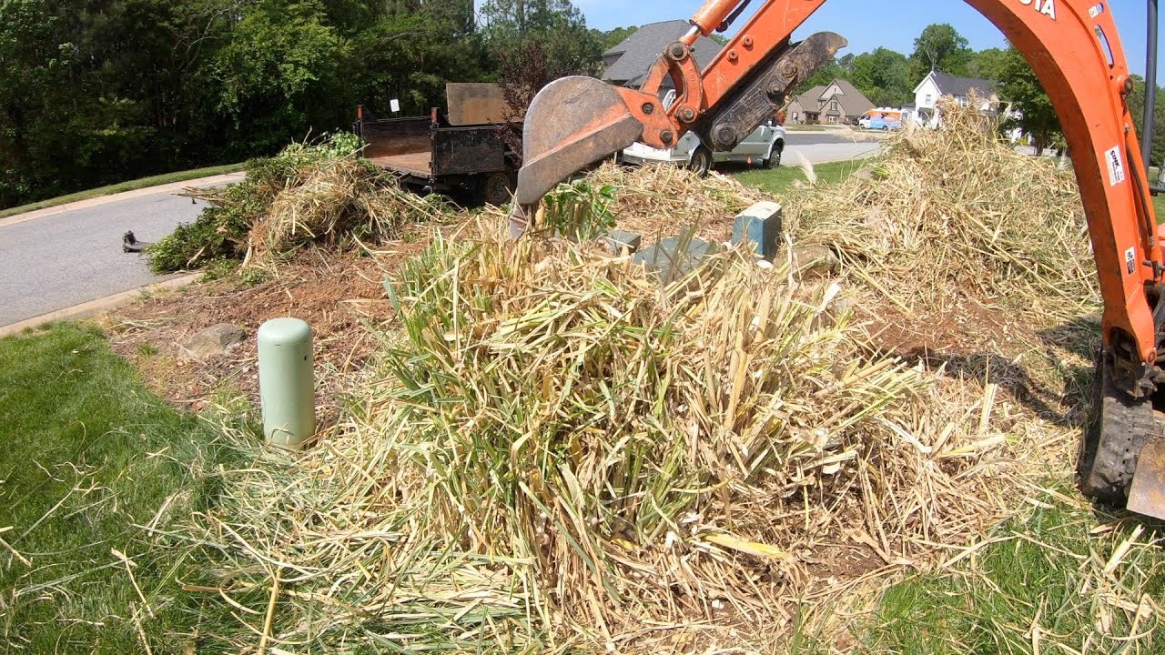 HOW TO DIG UP BIG LANDSCAPE GRASSES - YouTube