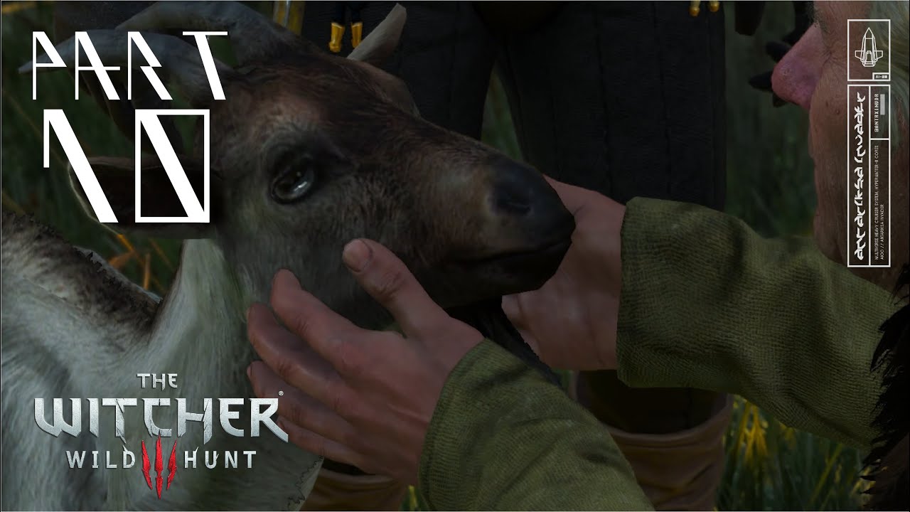 THE WITCHER 3 (PART 10) // Princess The GOAT - YouTube