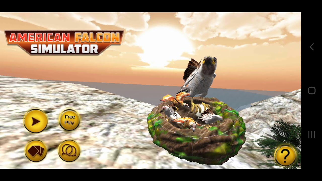 American Falcon Simulator 2016. - YouTube