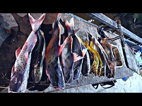 PESCA Y COCINA en el centro de ROSARIO, los MONCHOLOS GIGANTES están ...