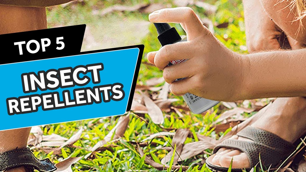 Top 5 Best Insect and Pest Repellents for Summer - YouTube