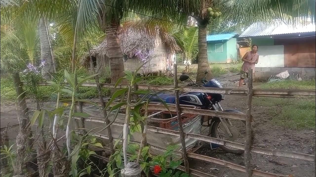 May ahas sa Halamanan ni ate Wena || Chanz kie Channel - YouTube