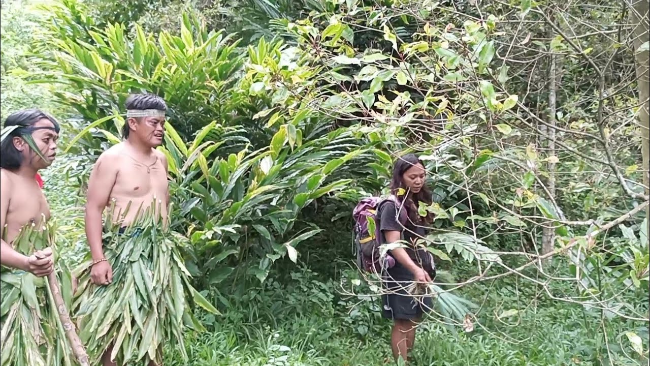 Dede inoen masuk ke hutan Amazon - YouTube