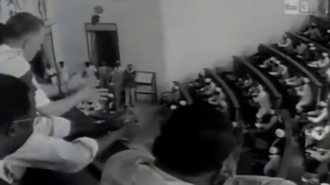 Somali waa mid - YouTube