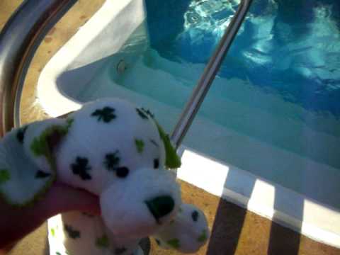 Webkinz pool PARTY! - YouTube