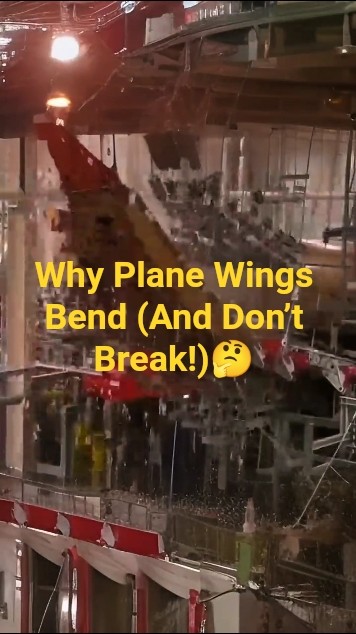 Why Airplane Wings Bend (And Don’t Break!)#didyouknow #shorts #plants # ...