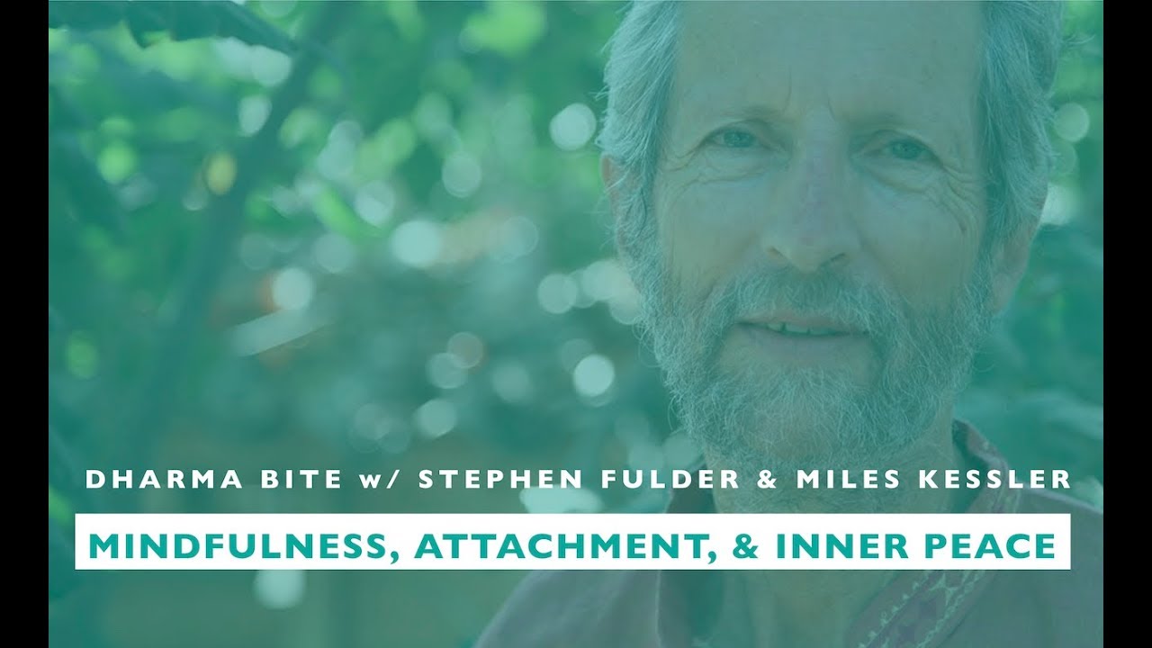 "Mindfulness, Attachment, & Inner Peace" - Dharma Bite w/ Stephen ...
