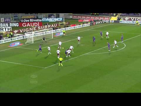 Fiorentina - Torino 1-1 - Highlights - Giornata 24 - Serie A TIM 2014/15