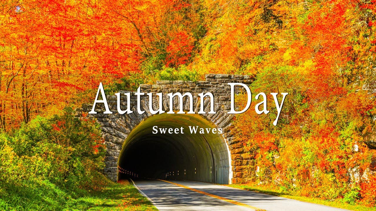 🍁🍁🍁Incredible Fall Foliage - Best 4K Autumn Nature Scenes from Around ...