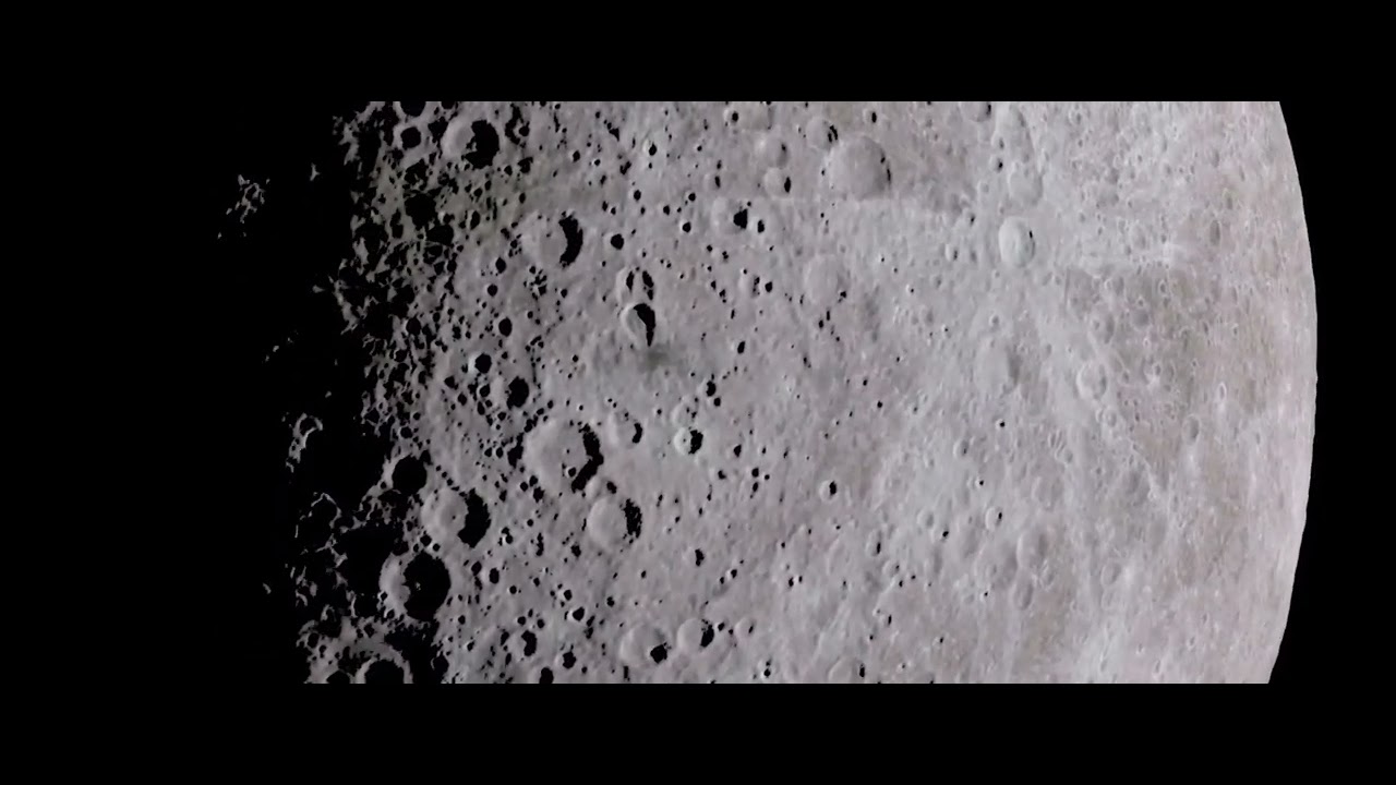 Lunar Silhouettes: Dancing Shadows Under the Moon - YouTube