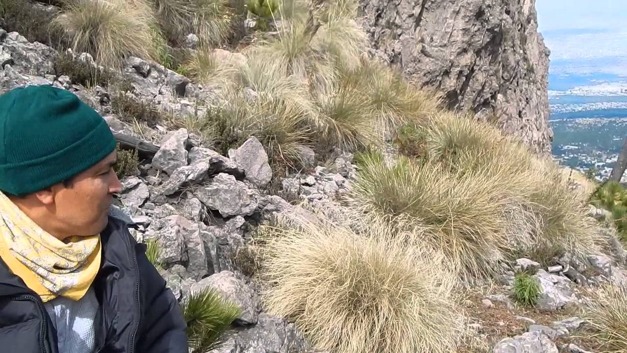 Ajusco volcano, Mexico - 2015 (1 of 2) - YouTube