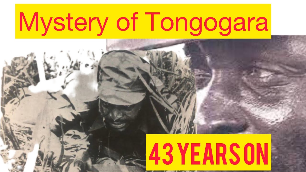 MUST WATCH! 43 years on Tongogara and possible Zimbabwe - YouTube