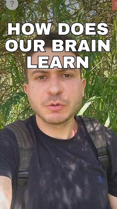 HOW DOES OUR BRAIN LEARN #neuroscience #brain #learningprocess # ...