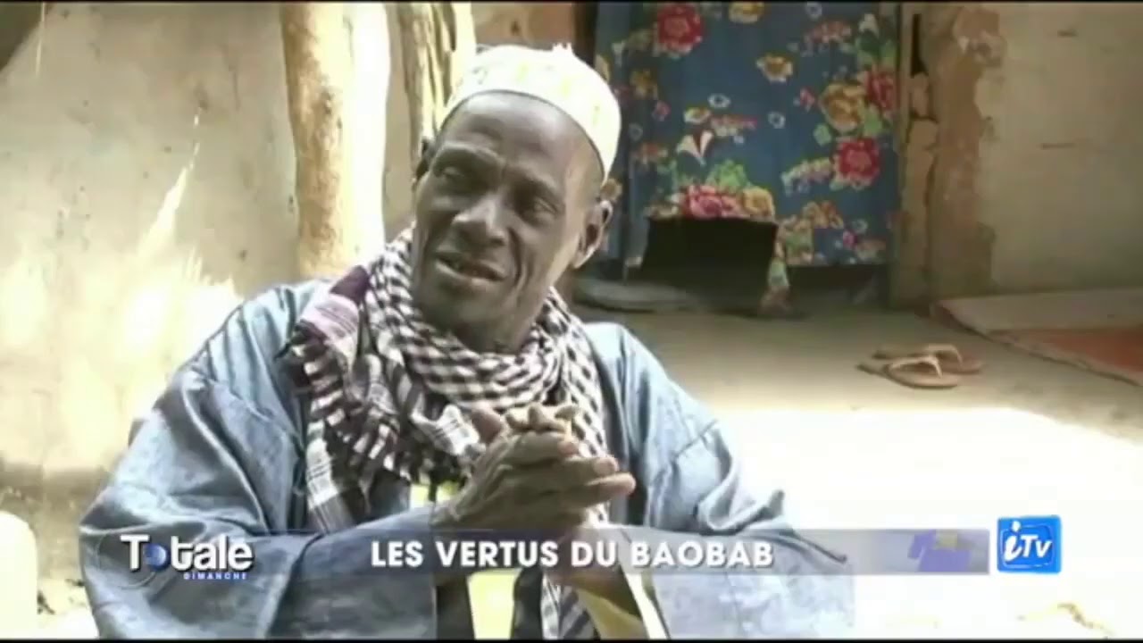 VERTUS DU BAOBAB - YouTube