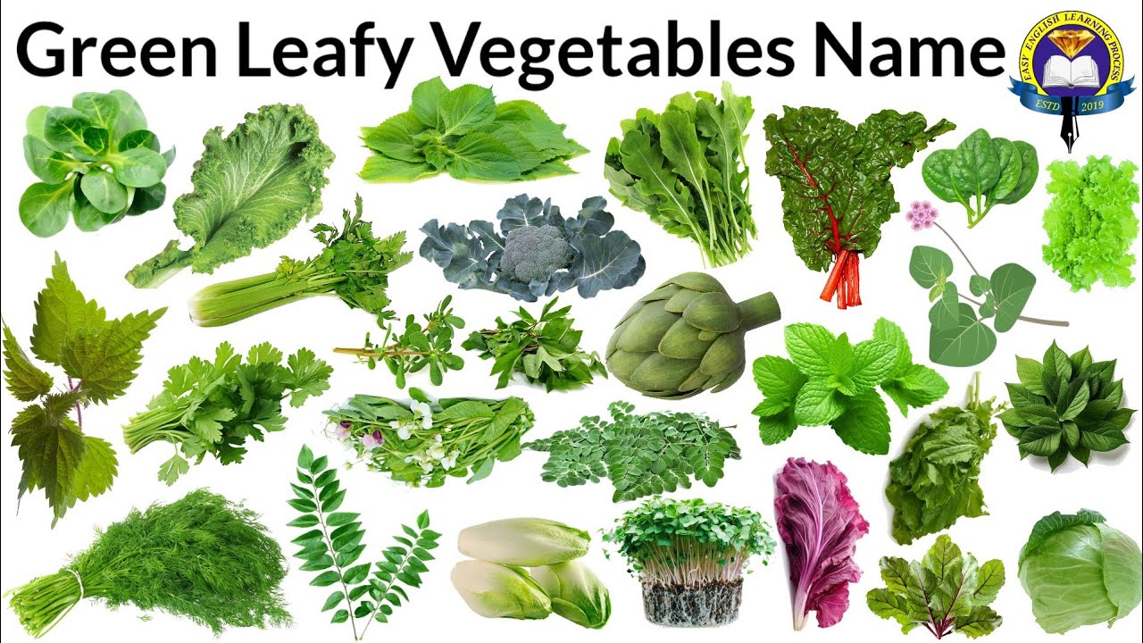 Green Leafy Vegetables Name In English With Pictures | Leafy | Green ...