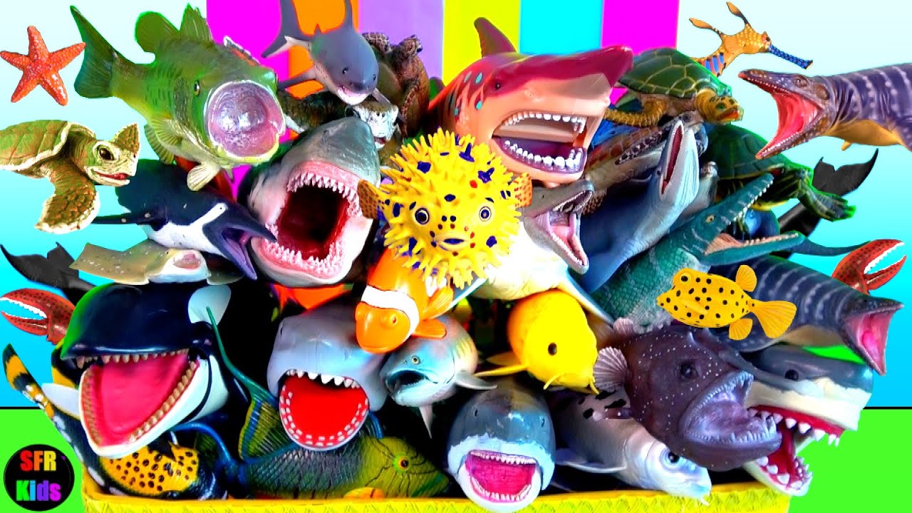 Sea Animals - Sharks, Whales, Fish, Shellfish, Cephalopods, Crustaceans ...