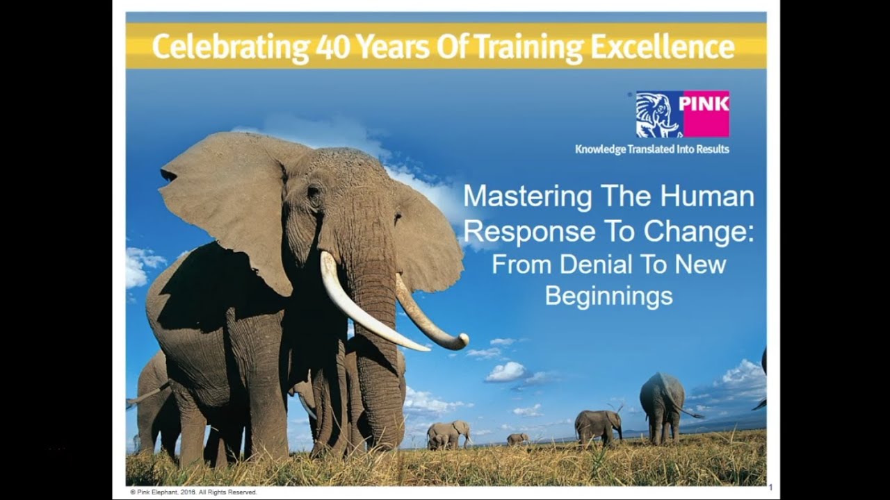 Mastering the Human Response to Change: From Denial to New Beginnings ...