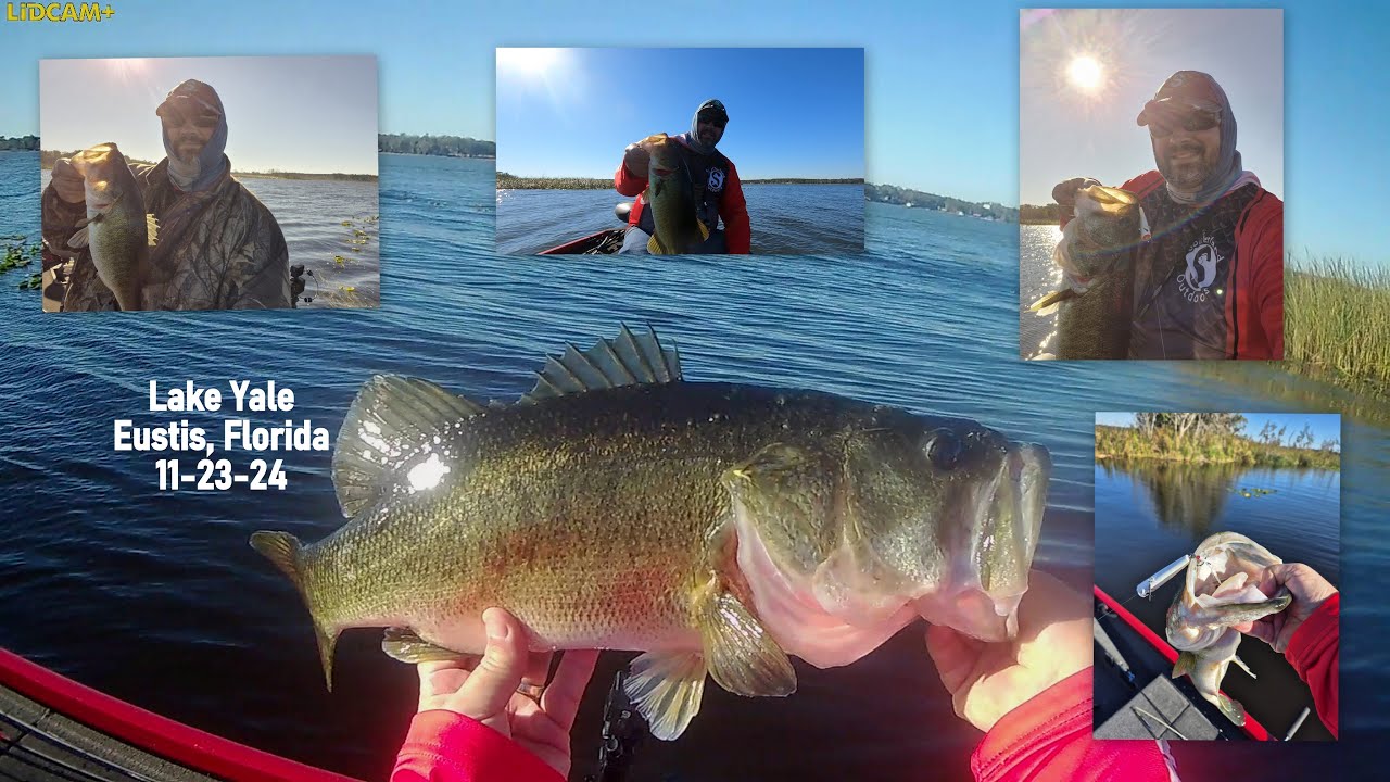 First time on Lake Yale - Bass Fishing in Florida - YouTube