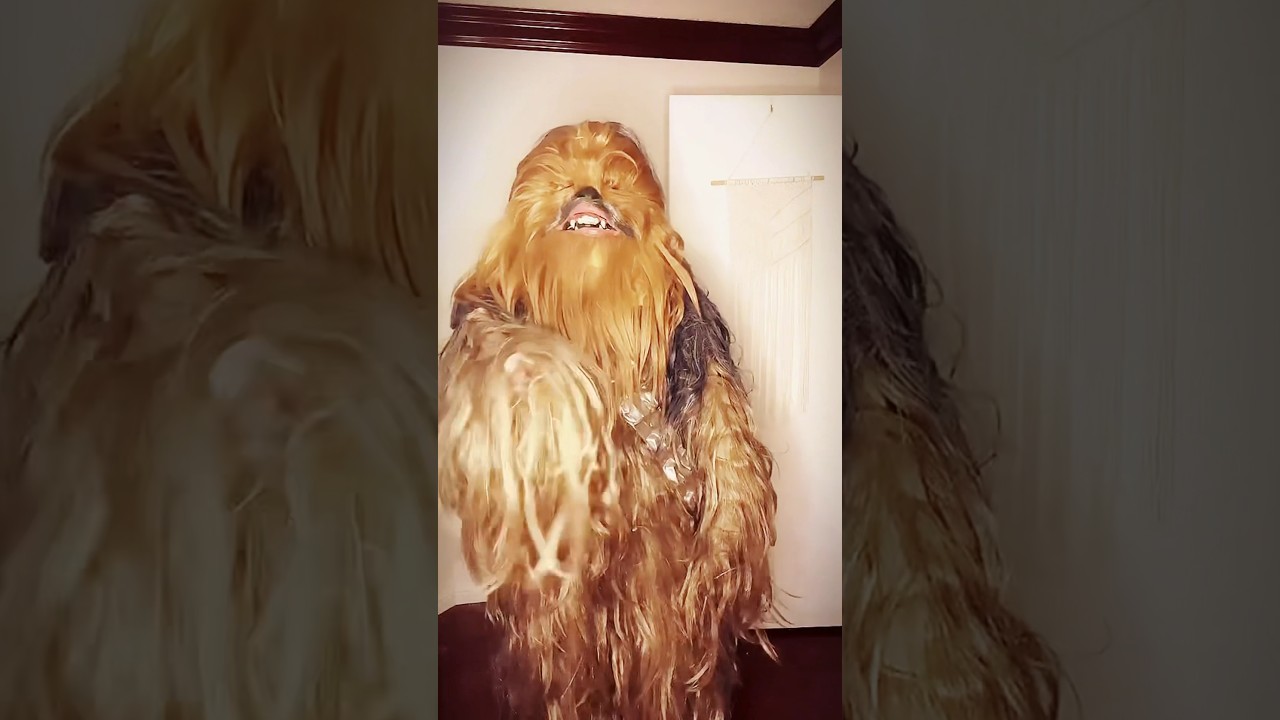 Day 14 | Chewbacca - YouTube