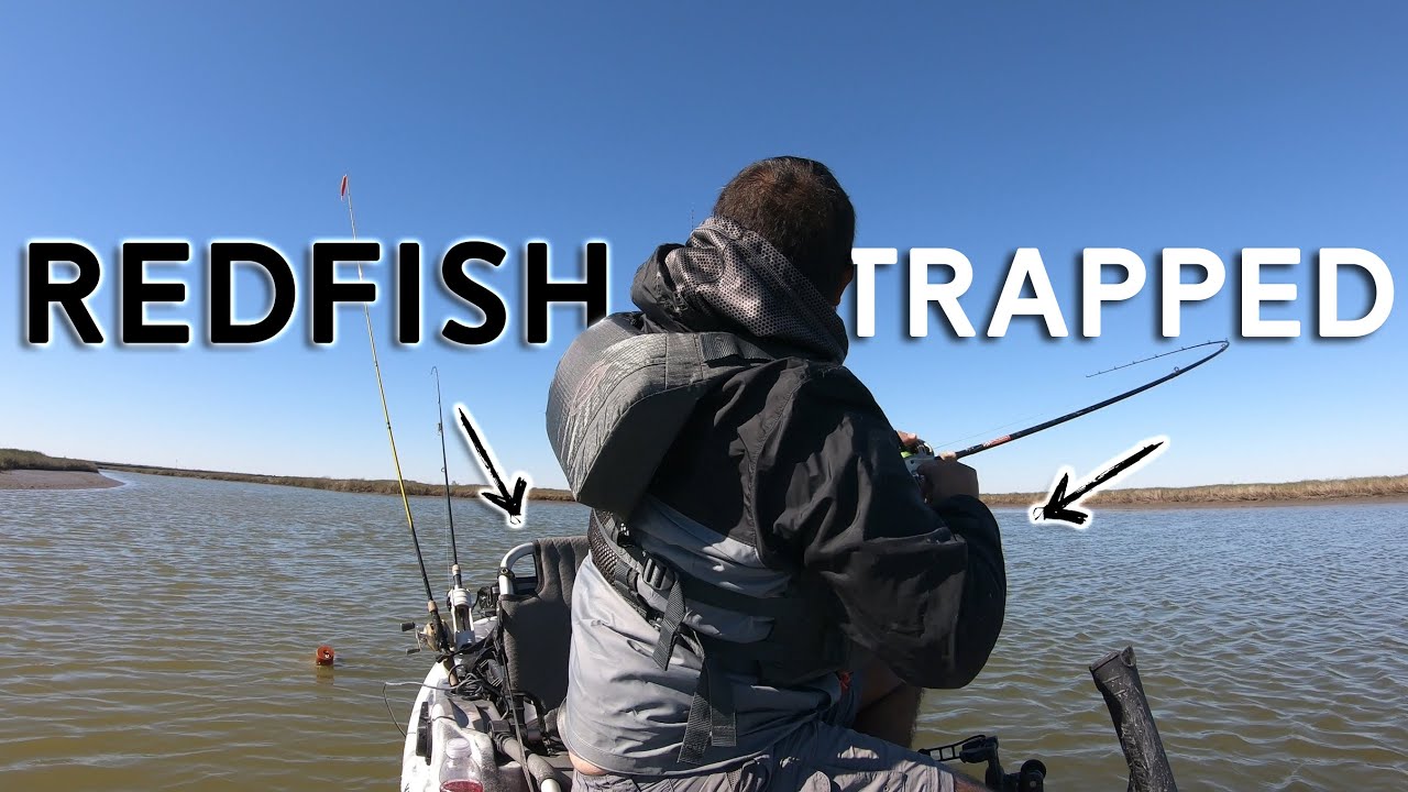Kayak Fishing Trapped Redfish | Low Tide Fishing Hole #BTS19 - YouTube