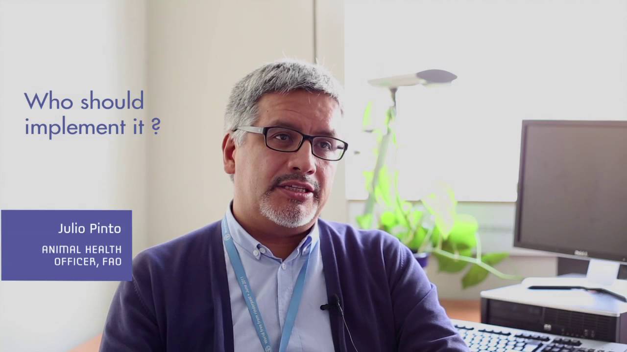 On Animal Health Risk Analysis Interview To Julio Pinto Animal on-animal-health-risk-analysis-interview-to-julio-pinto-animal