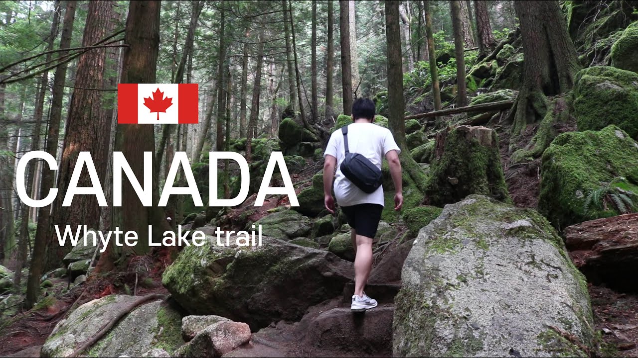 whyte lake trail | walk with me | 걷는 소리 ASMR | 걸어서 캐나다 여행 - YouTube