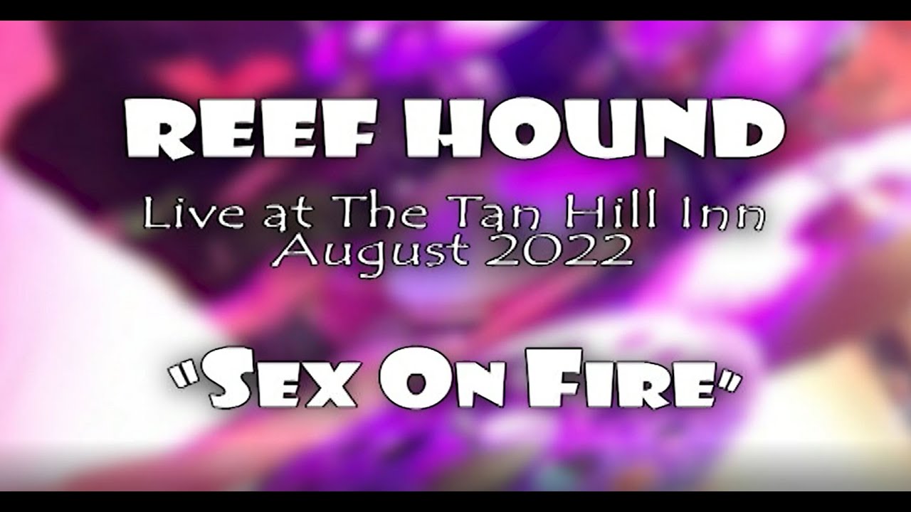 Reef Hound - Sex On Fire - Live - YouTube