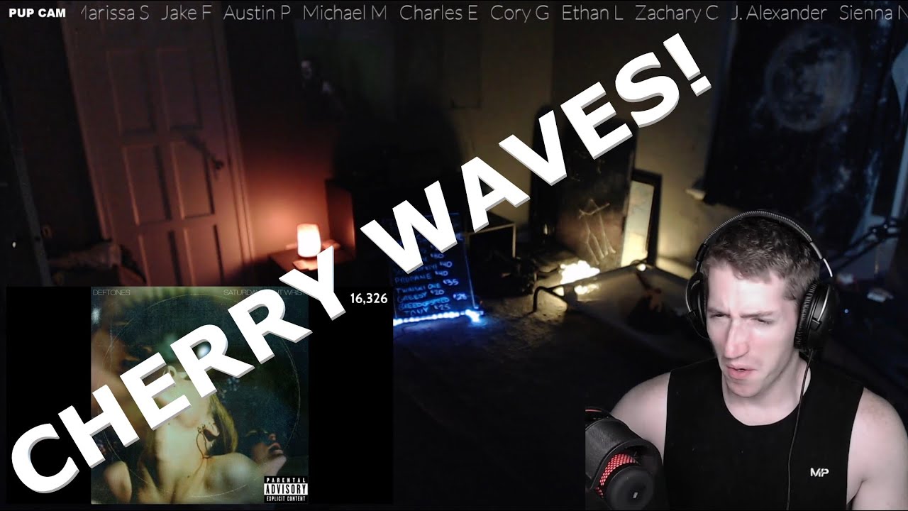 Chris REACTS to Deftones - Cherry Waves - YouTube