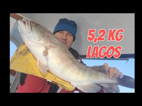 Silikon kalamarla 5 kg Lagos Avı