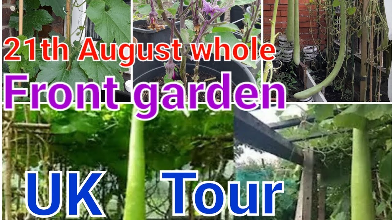 21th August my whole front garden(Bery long bash lau) tour in uk. - YouTube